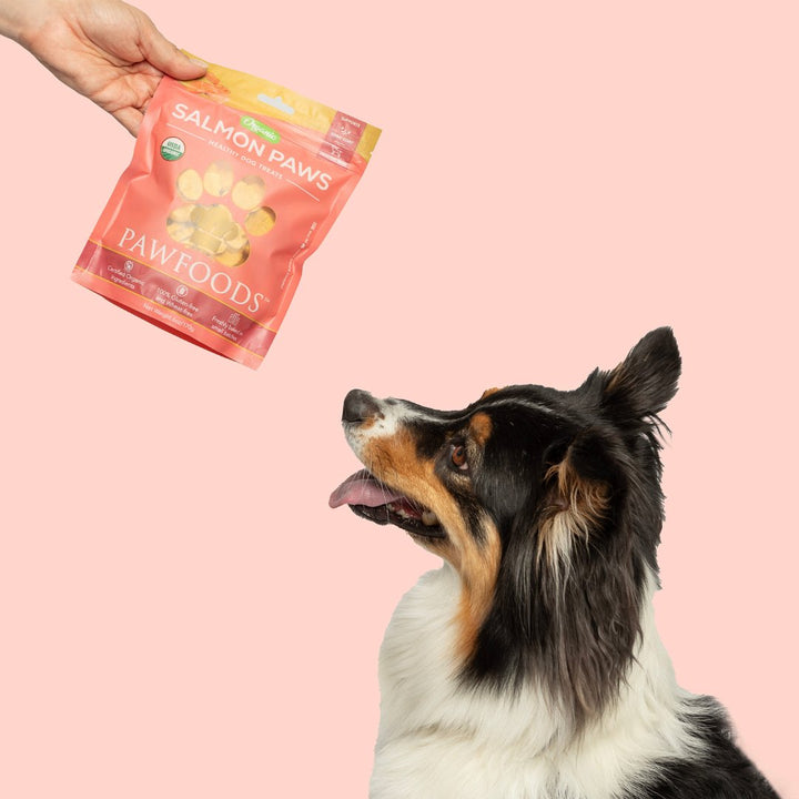 PawFoods